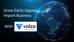 Volza: Pricing & Plans for Export-Import Data | Saas Utility